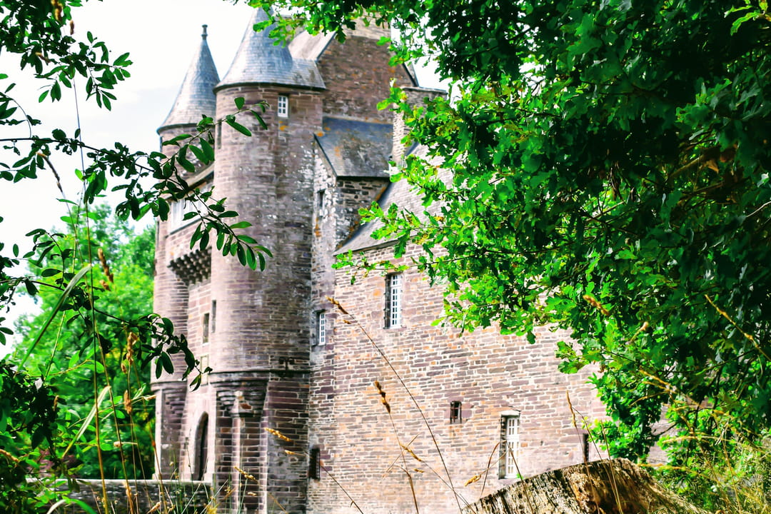 La forêt de Brocéliande dans le Morbihan