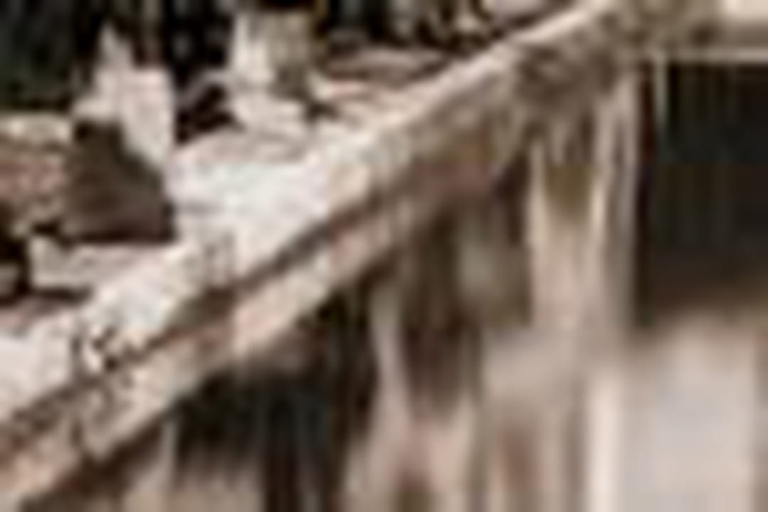 Les tanneries sur la Bièvre Les tanneries sur la Bièvre